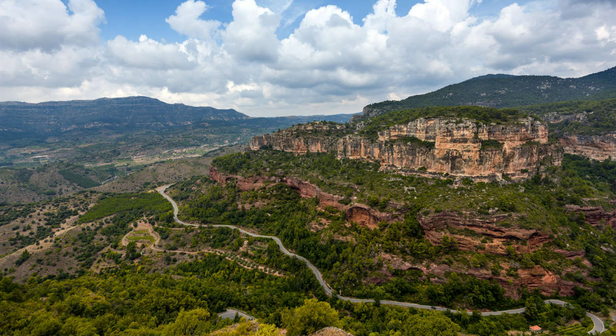 Vinos de la DOCa. Priorat: una región famosa por sus vinos de calidad ...